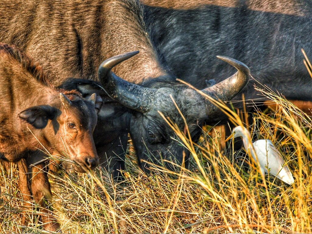 Contact Us - Matusadona National Park