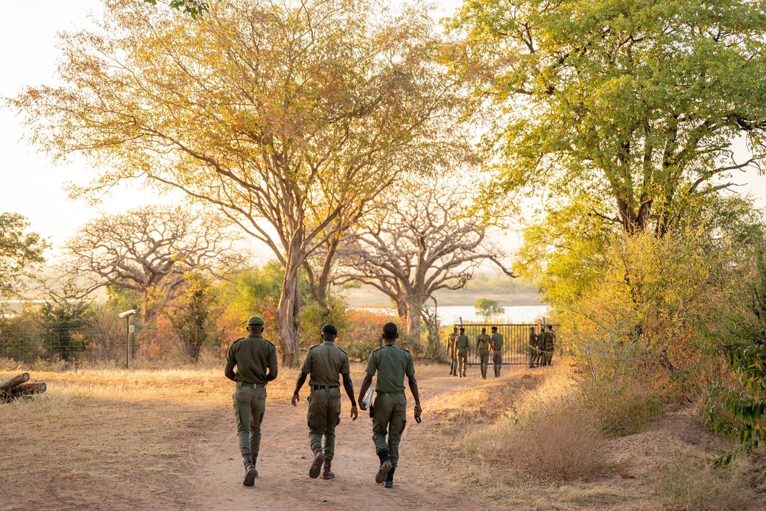 Park Management - Matusadona National Park